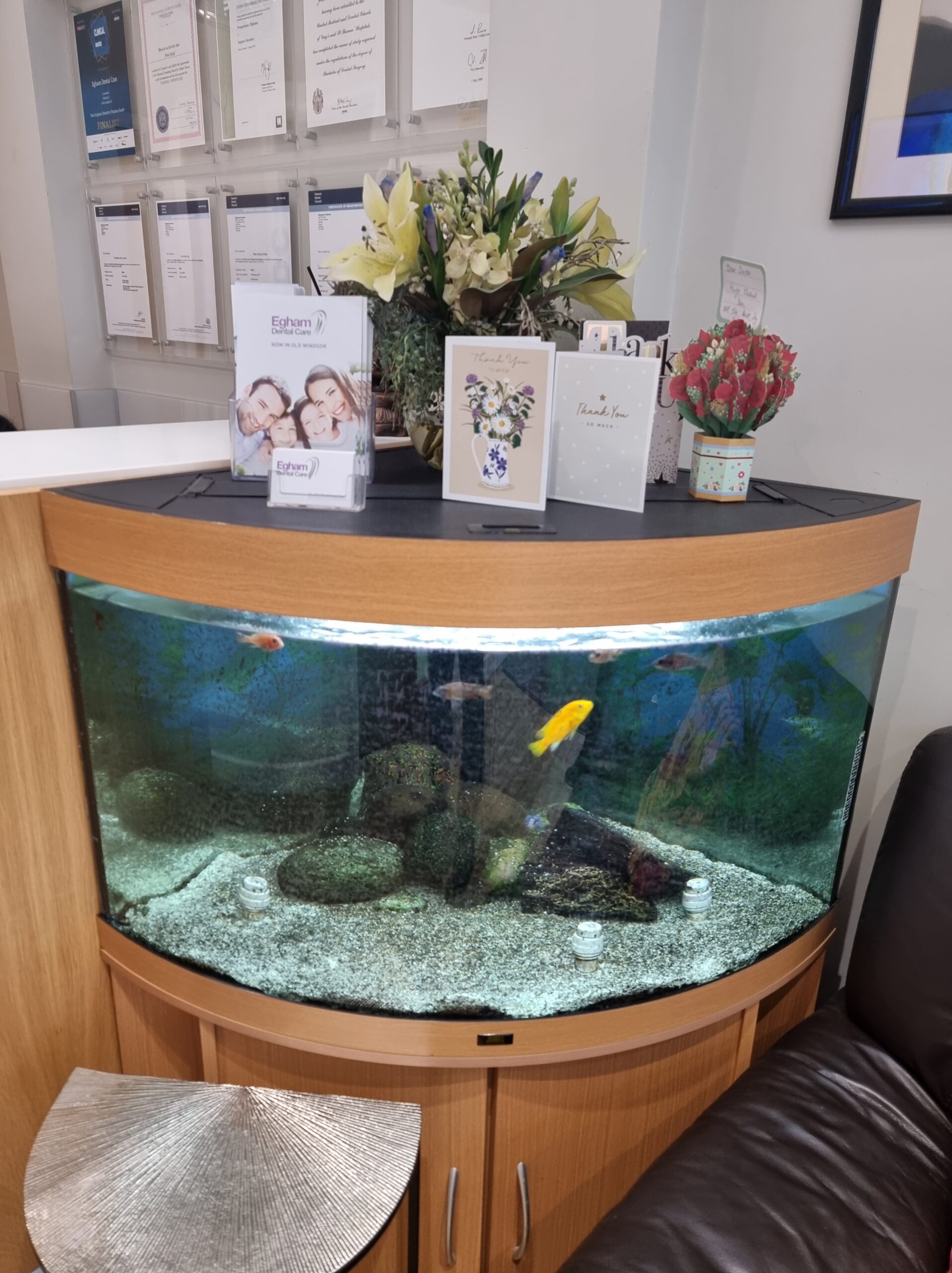 Dental Implants, Invisalign, Cosmetic and General Dentistry